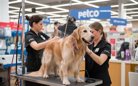 The Ultimate Petco Experience Find Petco Locations Grooming Services