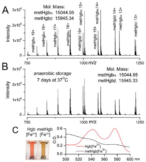 Characterization Of Methgb After Purification A B Ft Icr Mass