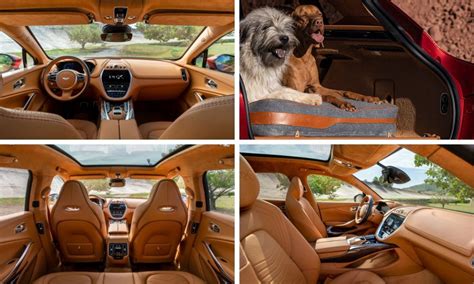 Ferrari Purosangue Vs Lamborghini Urus Vs Aston Martin Dbx What Sets Them Apart In Photos