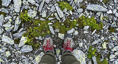 Feet In Hiking Boots On Rocky Mossy Ground Stock Illustration