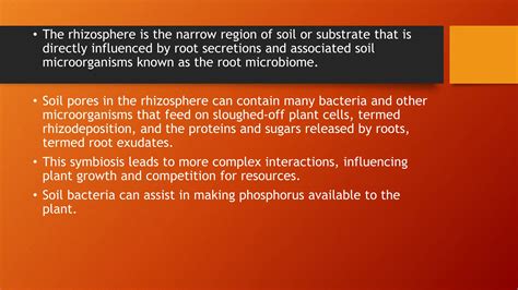 Root Microbe Interactions Types Of Mycorrhizae Pptx
