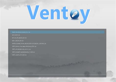 Request For Ventoy Integration · Issue 256 · A1ivegrub2 Filemanager