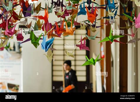 How To Hang 1000 Origami Cranes 1000 Cranes Origami Festival