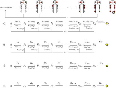 Kinetic Proof Reading Diagram A Markovian Model B Model With Download Scientific Diagram