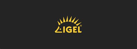 Igel Programm Logo Igel Gisbo De