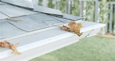 Leaffilter Gutter Protection Texwood Shows