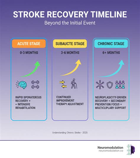 Chronic Stroke Unlocking Hope 2025
