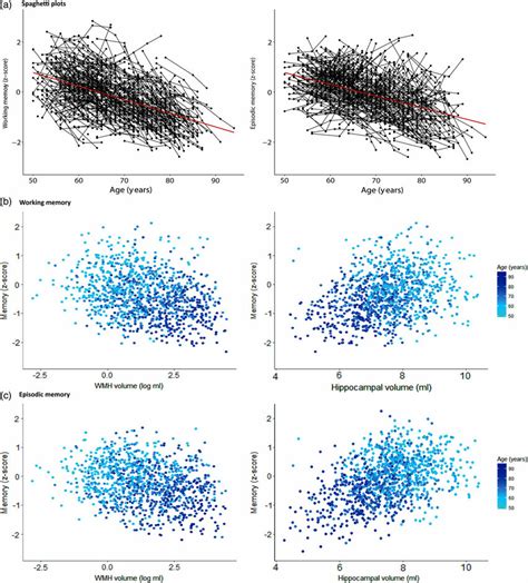 Age Related Working And Episodic Memory Performance By White Matter