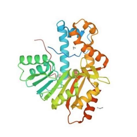 Private Bioinformatics Services At ₹ 5500month In Bengaluru Id 26225833088