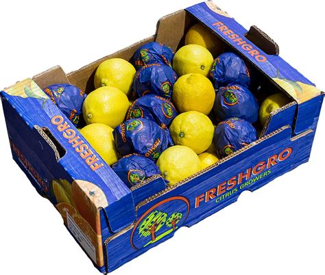 1 Citrus Packaging Citrus Fruit Export
