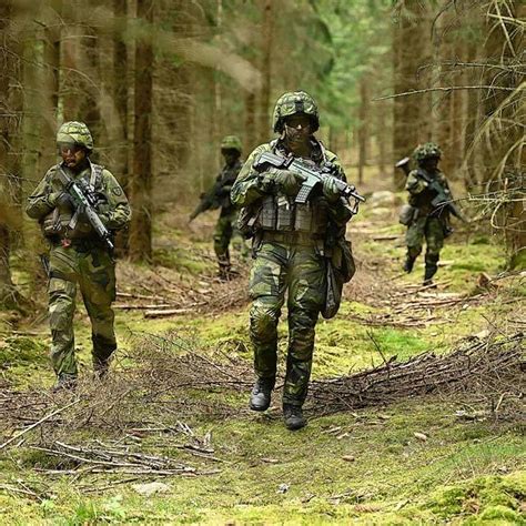 Snigel A Picture From Snigeldesign Please Visit