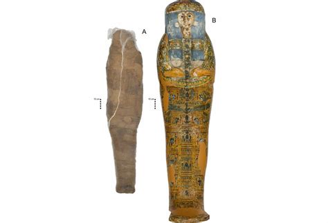 Une Momie égyptienne Couverte Dune Carapace De Boue Intrigue Les