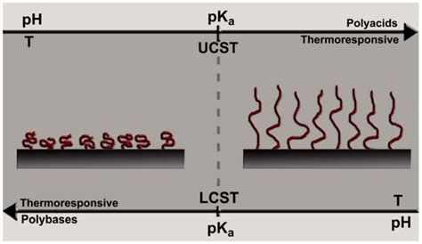 Thermo And Ph Responsive Behavior Of Polymers The Polymers That