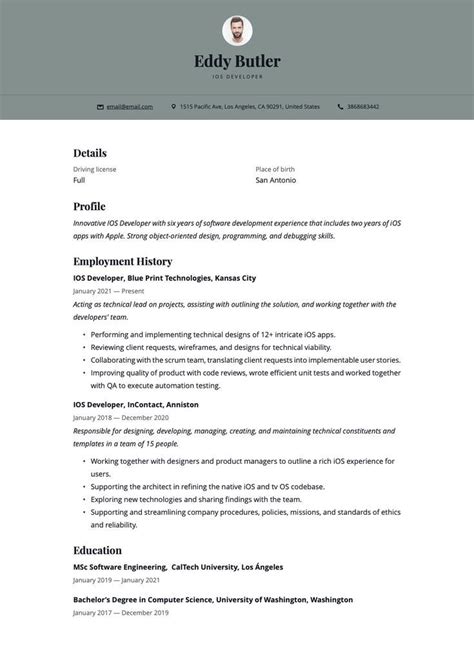 Sample Ios Developer Resume Guide Artofit