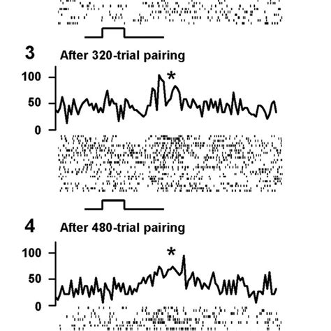 Auditory Cortex Neuronal Responses To A Visual Stimulus After Pairing Download Scientific