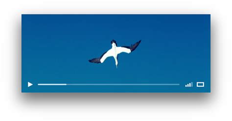 Npm Videojs Sublime Skin Skypack
