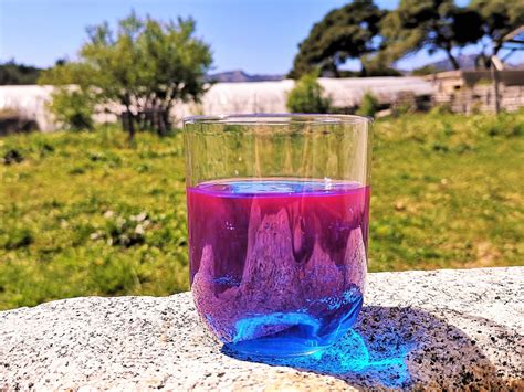 Blu2 Phycocyanin Thanh Lọc Tự Nhiên