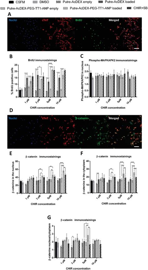 High‐content Cell Imaging And Quantification Of Brdu Phospho‐mapkapk2