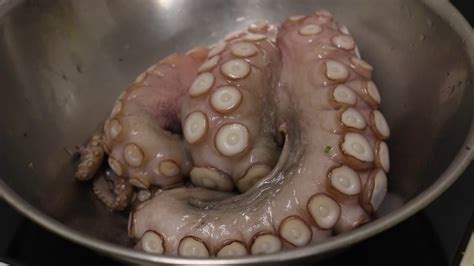 Hentai Octopus Recipe Youtube