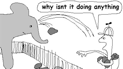 Guy Throwing Rocks At An Elephant Know Your Meme