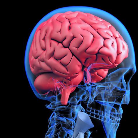 Parkinson Replicated Acoustic Features Dataset Kaggle