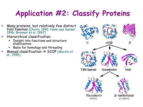 Ppt Protein Structure Similarity Powerpoint Presentation Free Download Id80425