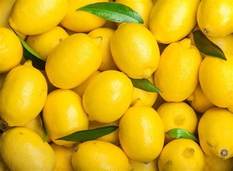 Real Food Encyclopedia Lemon Foodprint