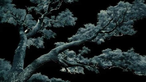 Oak Tree Branches On Black Background Premium Ai Generated Image