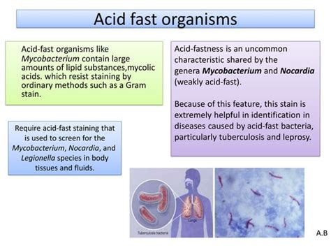 Acid Fast Staining Pdf Chemistry Science