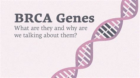 Brca1 And 2 What Are They And Why Are We Talking About Them