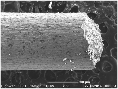 Sem Image Of Titanium Wire After Chronoamperometry At 100 V At 600°c