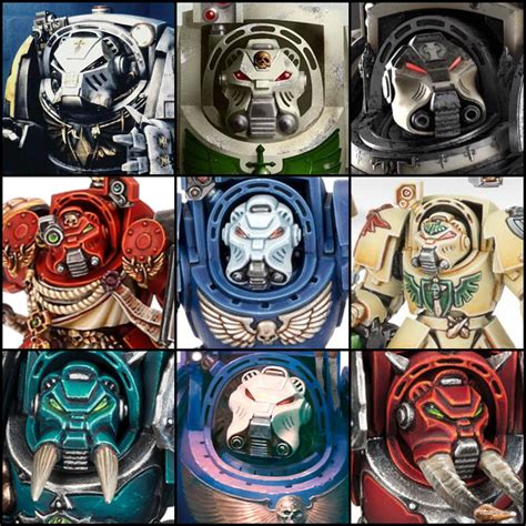 Cute Bear Ears Cute Bear Ears Cute Bear Ears Now Enjoy It R Grimdank