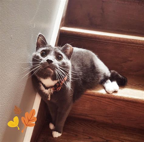 Water Clam Rsplatoon