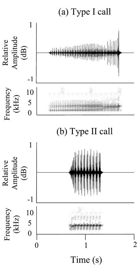 Signal Synchrony And Alternation Among Neighbor Males In A Japanese