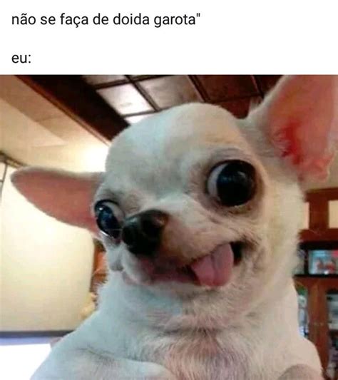 Meme De Cachorrinho Feliz