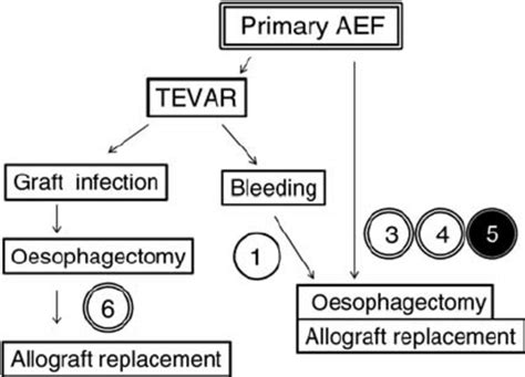 Clinical Summary Of Primary Aef Cases N 5 Double Open Circles
