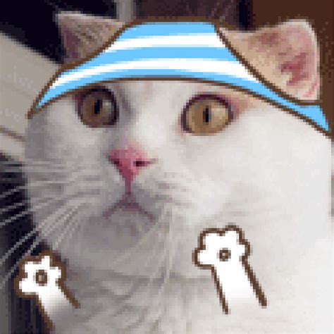 二次元美女脱内裤图片二次元美女脱内裤动态图二次元美女脱内裤表情包动图下载soo