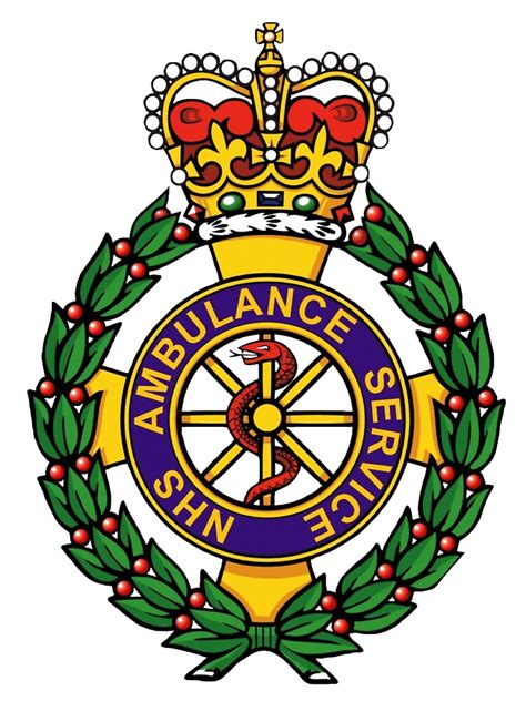Ambulance Service Logo Hoodie