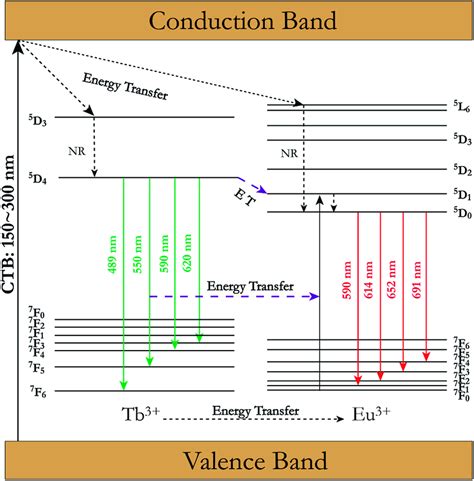 schematic energy level diagram and energy transfer process from tb³⁺ to
