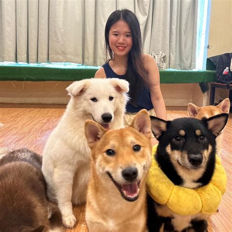 Zhi Ling S Post Lemon