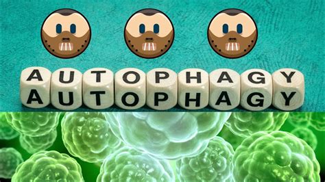 Metabolic Flexability Program Guide Youtube