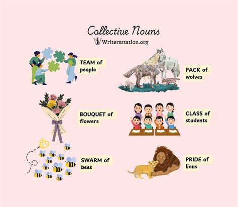 Collective Nouns Online Courses