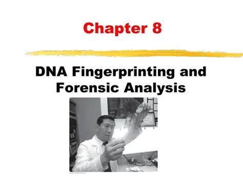 Ppt Forensic Dna Analysis Jelena A Myers Senior Criminalist Dna
