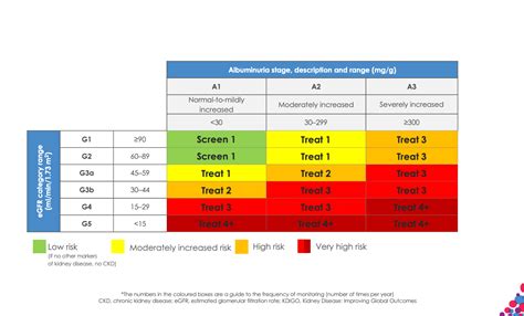 Ckd Screening And Diagnosis Insightmedhub India Portal