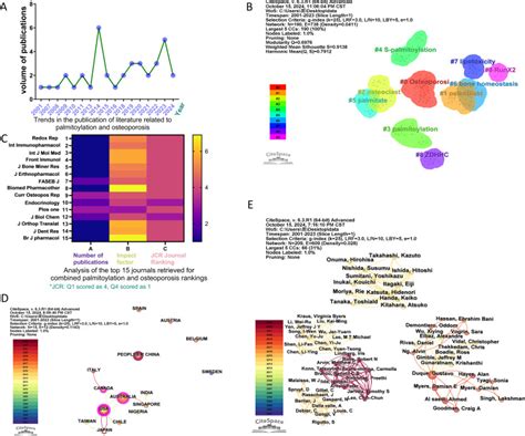 The Role Of Palmitoylation Modifications In The Regulation Of Bone Cell