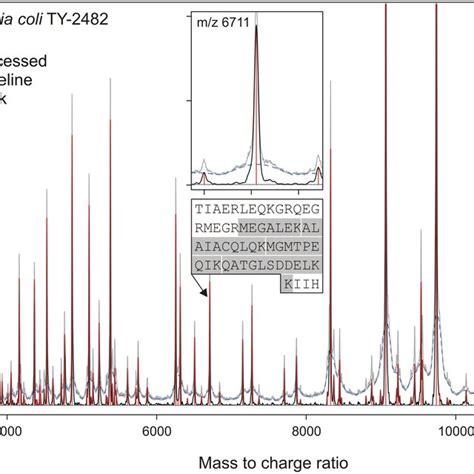 Maldi Tof Mass Spectrum Of E Coli Outbreak Isolate Ty 2482