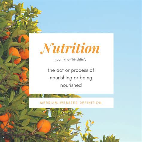 Recipe For Nourishment