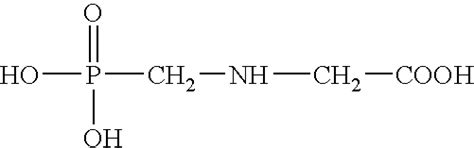 Method For The Alkoxylation Of Alkyl Andor Alkenyl Polyglycosides