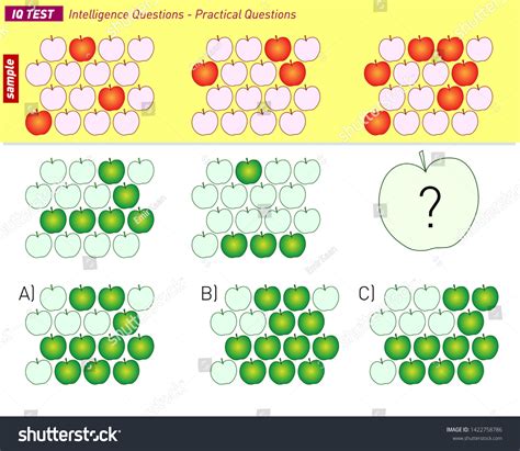 Iq Test Intelligence Questions Practical Questions Stock Vector