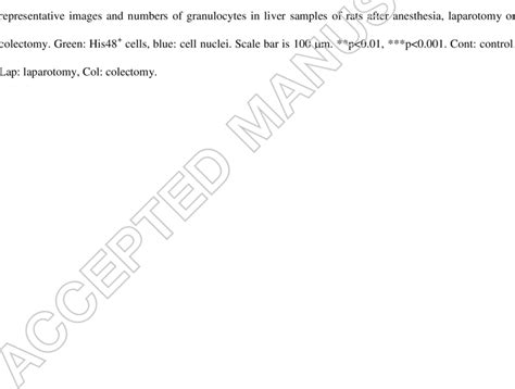Partial Colon Resection Results In Accumulation Of Granulocytes In The